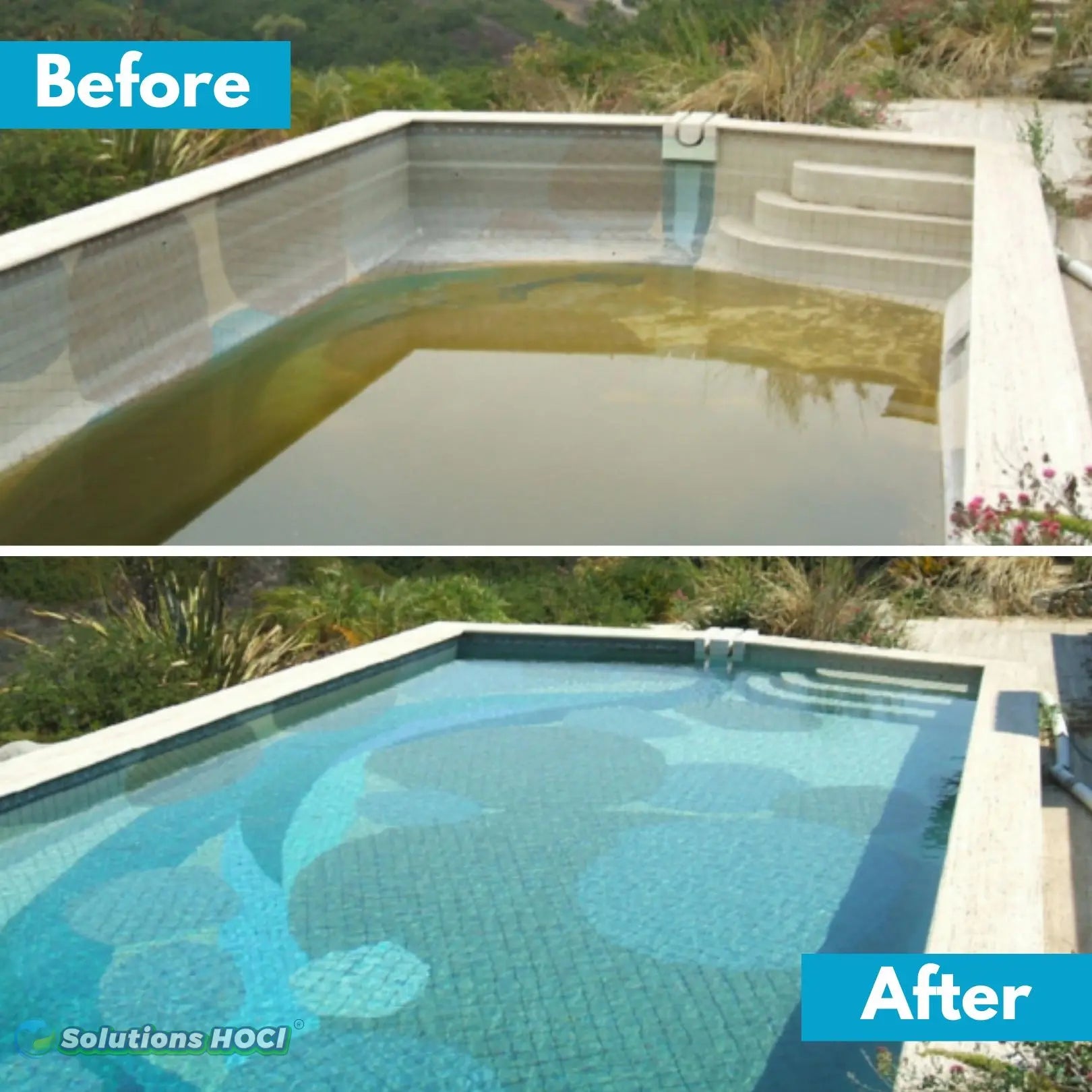 When you want the Best - Solutions HOCL