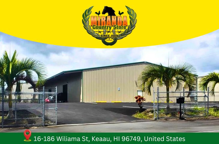 Store Locator – Solutions HOCL
